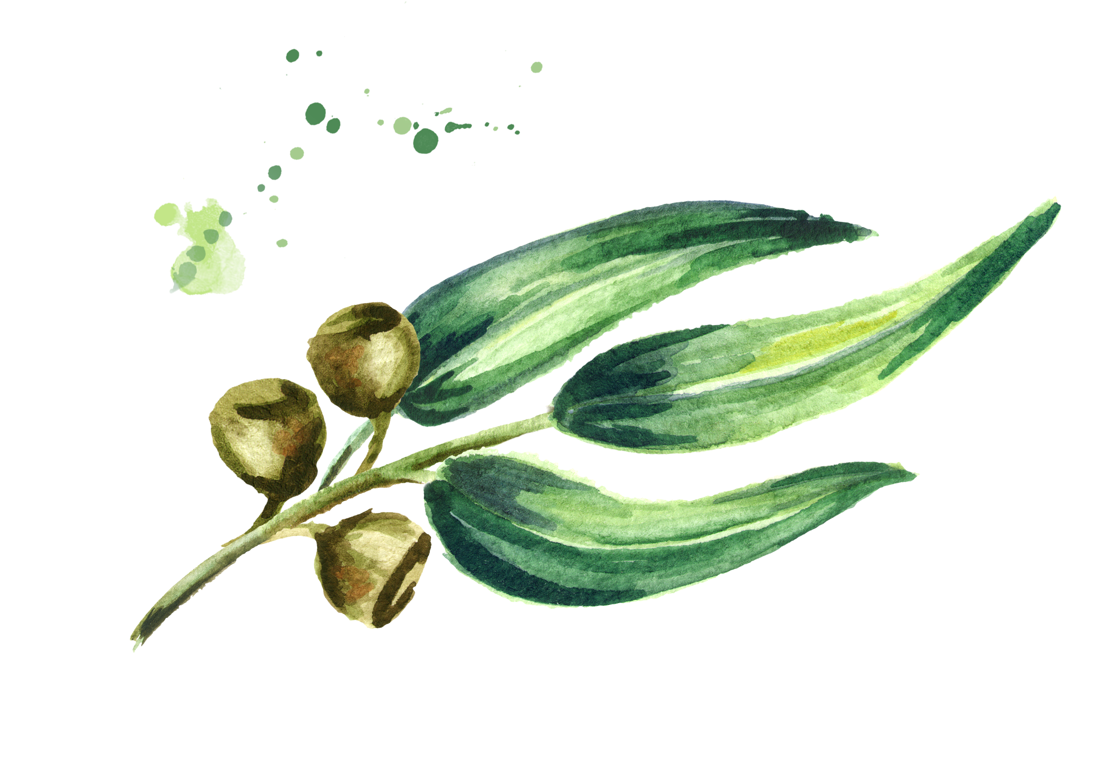 The Maker Heals - Restoration of Body, Mind & Soul